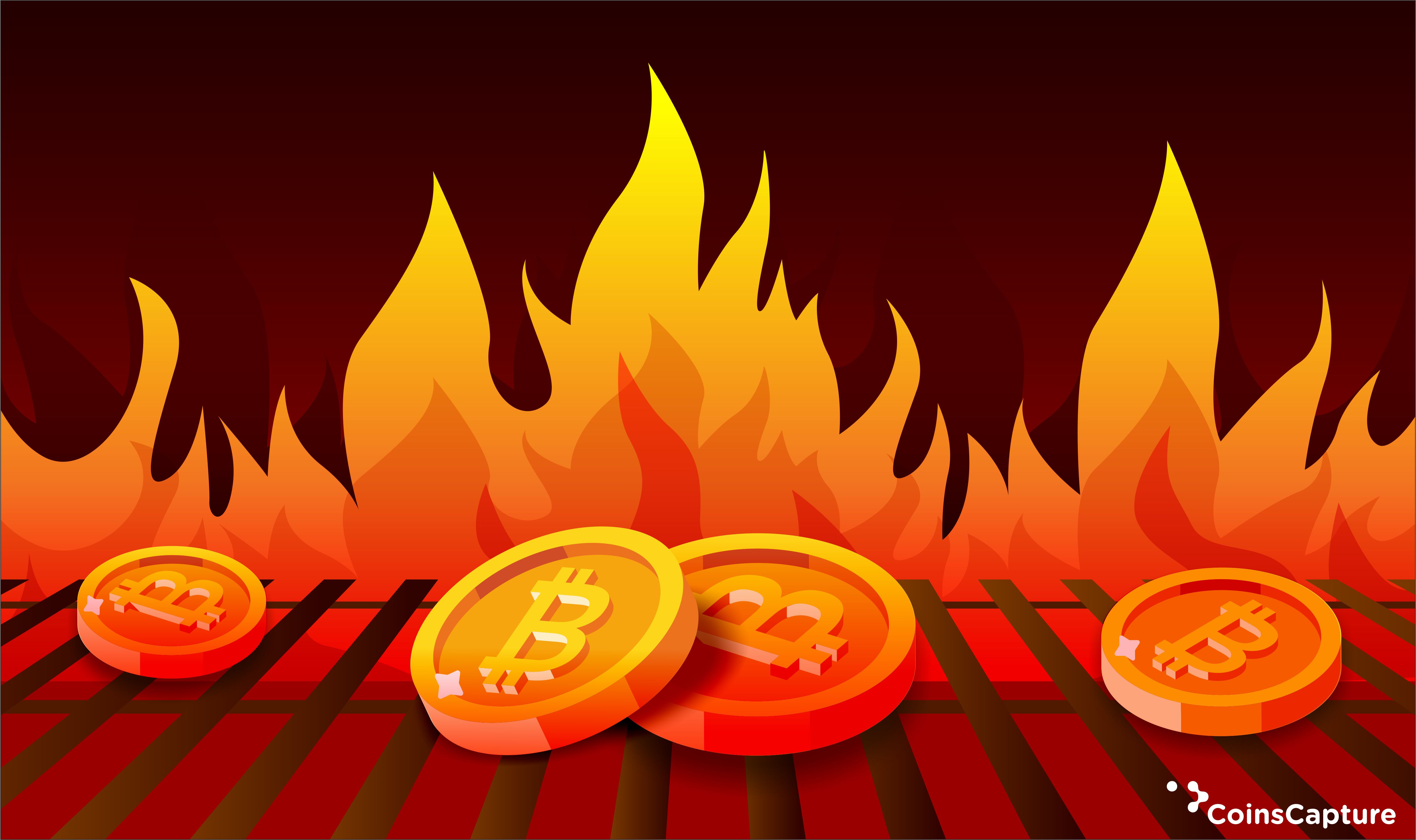 Proof of Burn- Explained | CoinsCapture