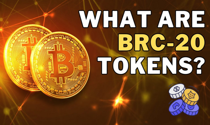 What Are BRC-20 Tokens? BRC 20 Tokens Explained | CoinsCapture