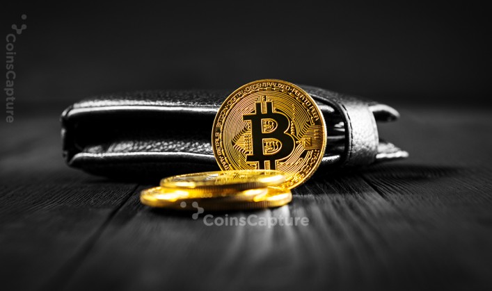 Bitcoin Wallets With More Than 100 BTC Reach 6 Months High | CoinsCapture